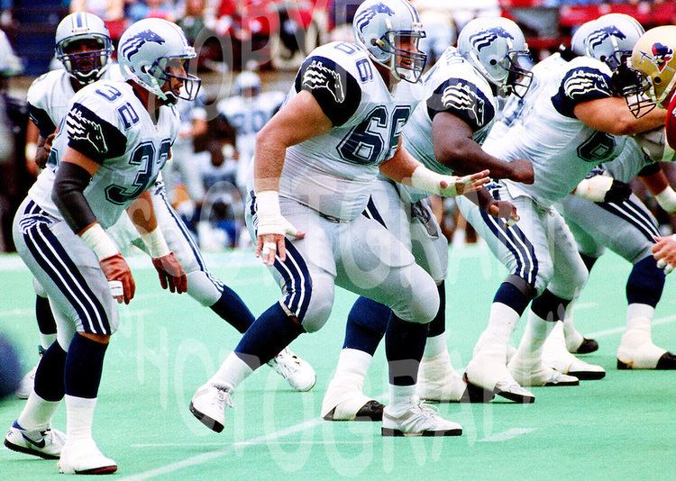 Baltimore Stallions - Alchetron, The Free Social Encyclopedia