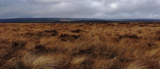 Blanket bog - Alchetron, The Free Social Encyclopedia