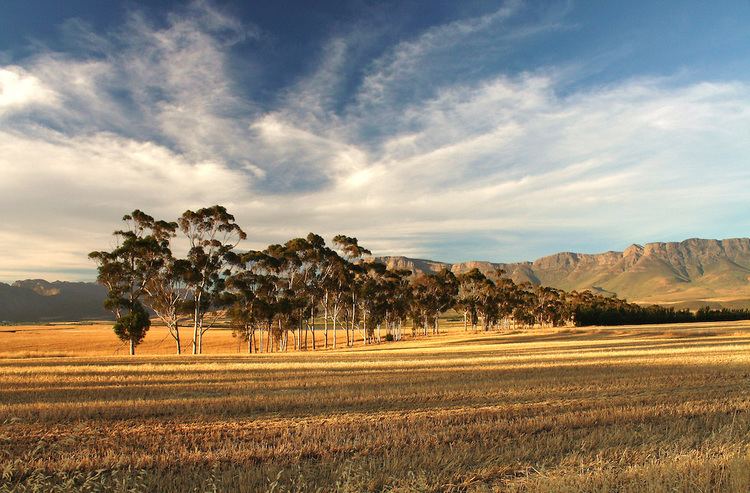 Ceres, Western Cape - Alchetron, The Free Social Encyclopedia