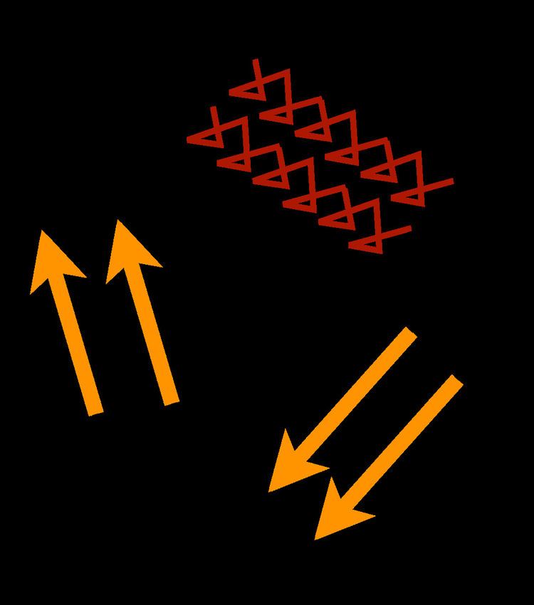 Circular Permutation In Proteins Alchetron The Free Social Encyclopedia