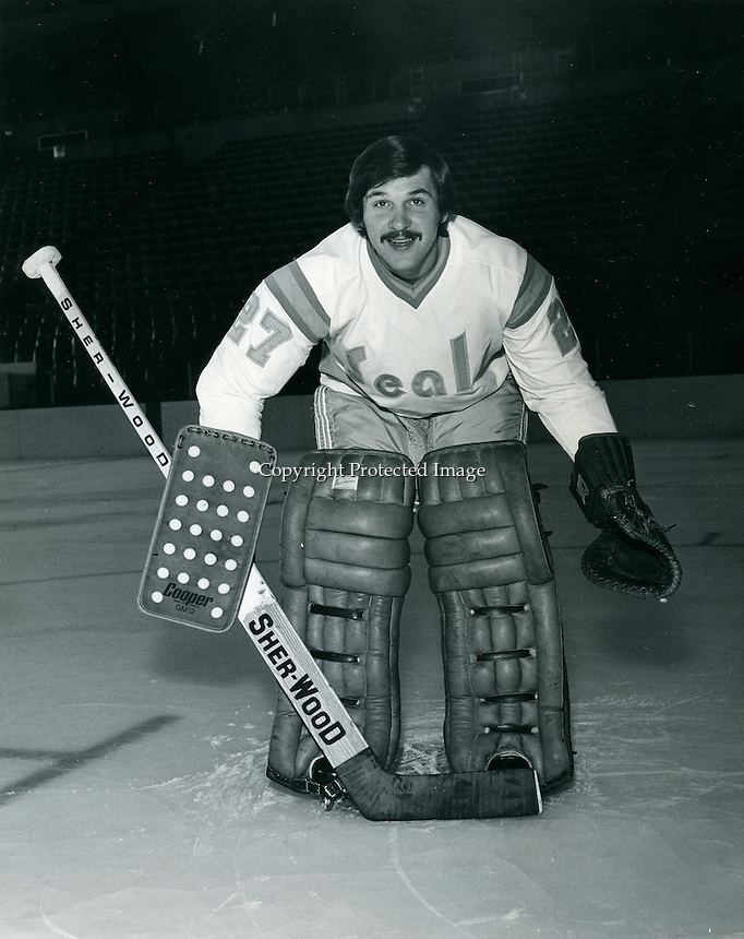 Gilles Meloche - Alchetron, The Free Social Encyclopedia