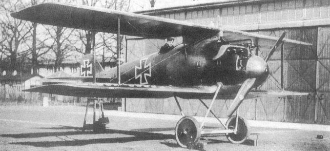 LFG Roland D.II - Alchetron, The Free Social Encyclopedia