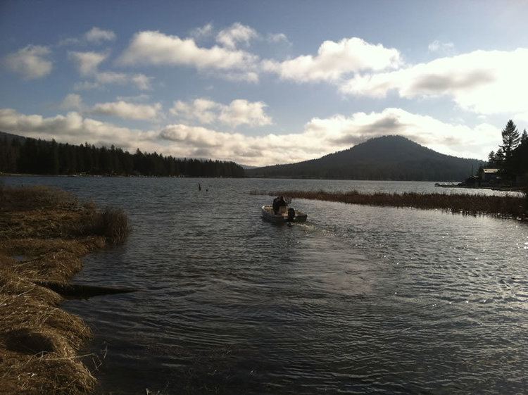 Loon Lake Washington Alchetron The Free Social Encyclopedia Loon Lake Washington Alchetron The Free Social Encyclopedia