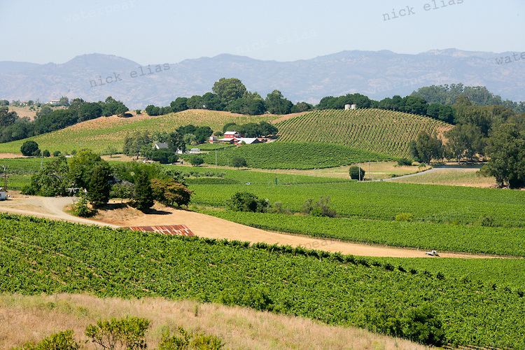 Los Carneros AVA - Alchetron, The Free Social Encyclopedia