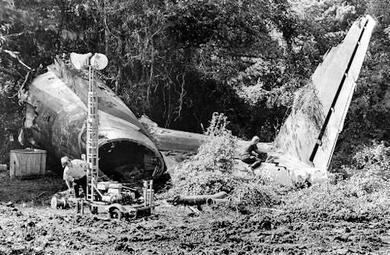 Martinair Flight 138 - Alchetron, The Free Social Encyclopedia