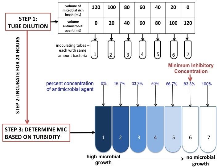 Minimum Inhibitory Concentration Alchetron The Free Social Encyclopedia Minimum Inhibitory Concentration Alchetron The Free Social Encyclopedia
