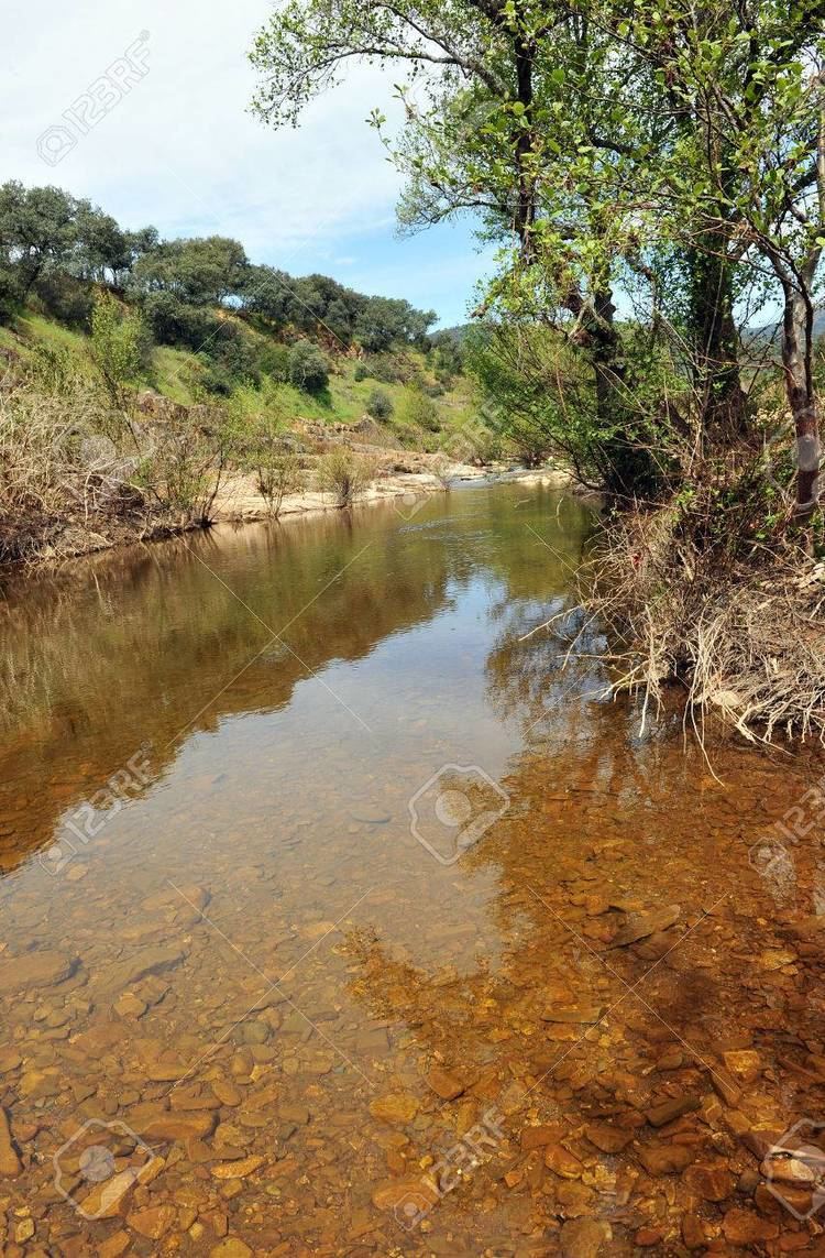 Morena - Alchetron, The Free Social Encyclopedia