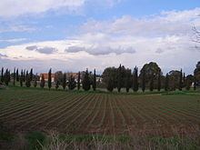 Moshav - Alchetron, The Free Social Encyclopedia