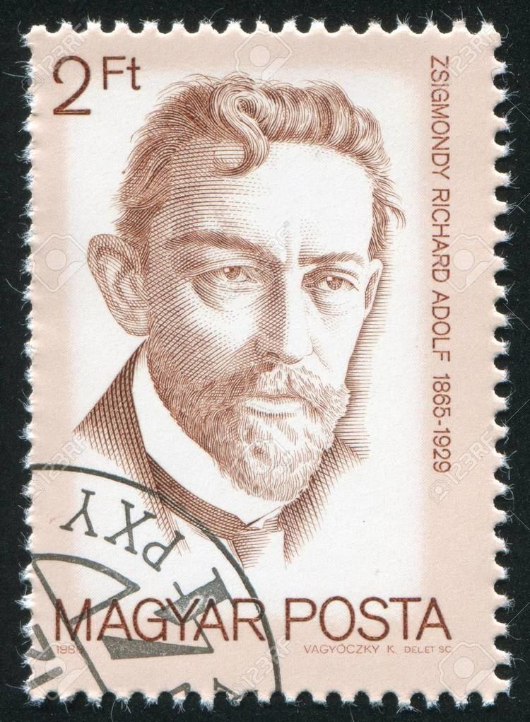 Richard Adolf Zsigmondy - Alchetron, the free social encyclopedia