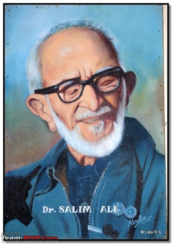 Salim Ali Alchetron The Free Social Encyclopedia Salim Ali Alchetron The Free Social Encyclopedia
