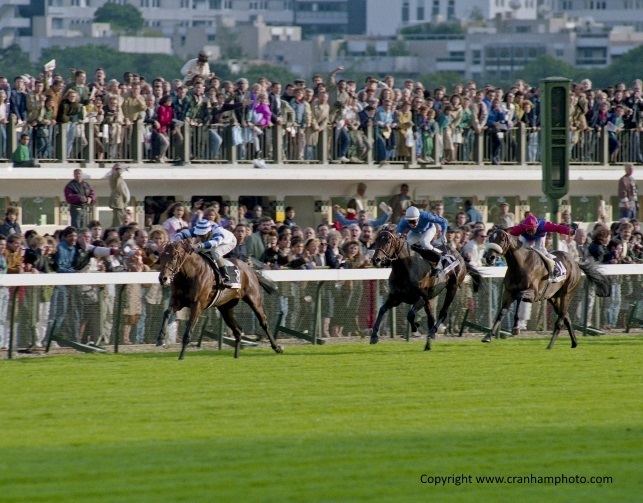 Suave Dancer - Alchetron, The Free Social Encyclopedia