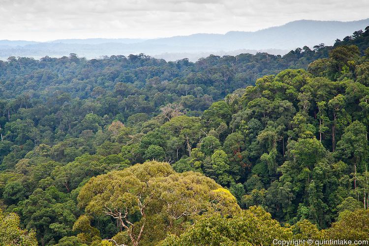 Temburong District - Alchetron, The Free Social Encyclopedia