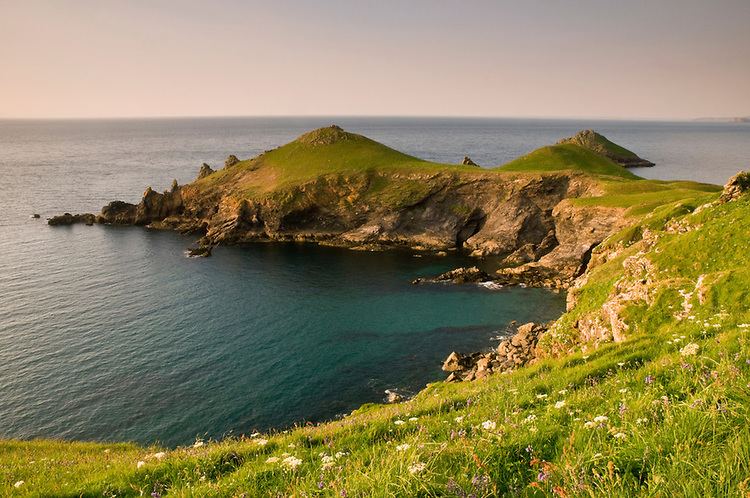 The Rumps - Alchetron, The Free Social Encyclopedia