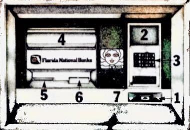 Tillie the All Time Teller ~ Detailed Information | Photos | Videos